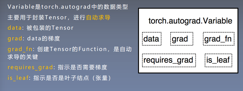 Pytorch学习——张量、计算图与 autograd_pytorch中张量构建计算图-CSDN博客