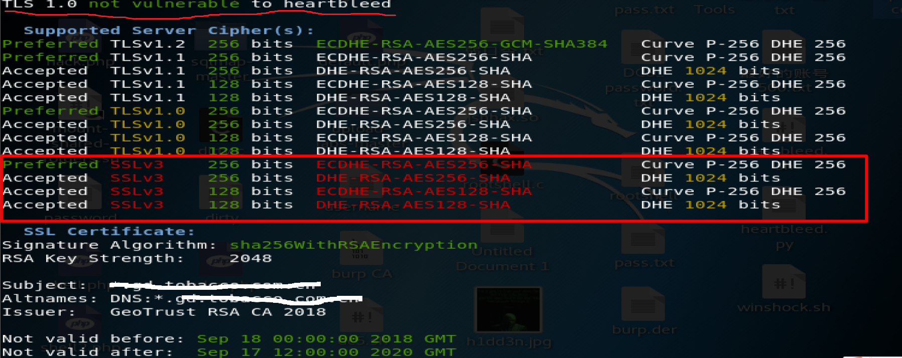 sslscan的使用-CSDN博客