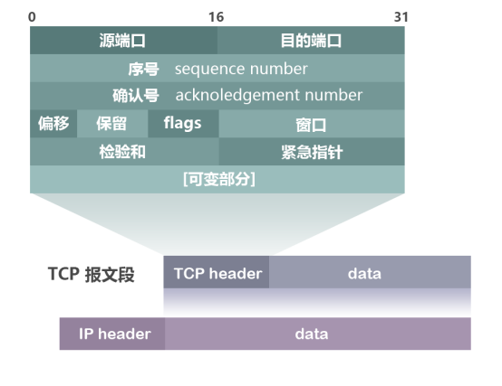 TCP(一):报文结构_tsc1报文-CSDN博客