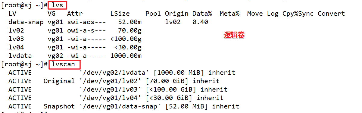 CentOS 8 逻辑卷管理LVM详解（扩容、快照等）_pvcreate lvm1 lvm2-CSDN博客