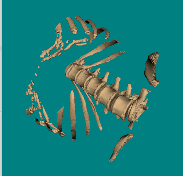 三维医疗影像打开和保存.vtk文件的python代码_python保存成3d slicer能识别的vtk文件-CSDN博客