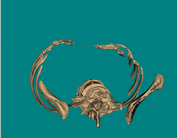 三维医疗影像打开和保存.vtk文件的python代码_python保存成3d slicer能识别的vtk文件-CSDN博客