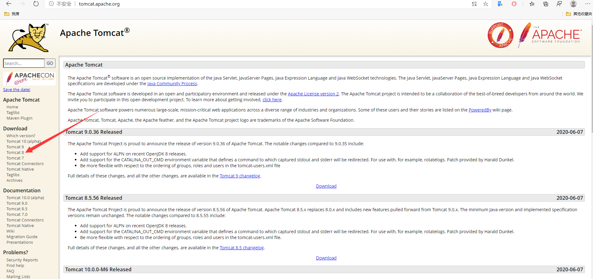 Descarga e instalación de Tomcat - programador clic