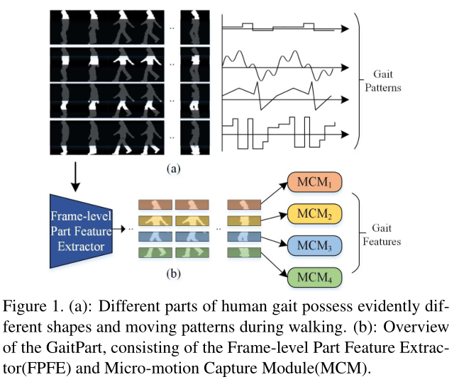 CVPR2020步态识别论文翻译(一)：GaitPart: Temporal Part-based Model for Gait Recognition_utilizing spatio ...