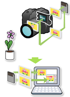 Raw data_rawdata-CSDN博客