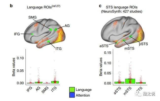 Nature communications：VWFA，一个集语言与注意于一身的脑区_vwfa脑区-CSDN博客