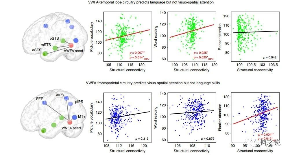 Nature communications：VWFA，一个集语言与注意于一身的脑区_vwfa脑区-CSDN博客