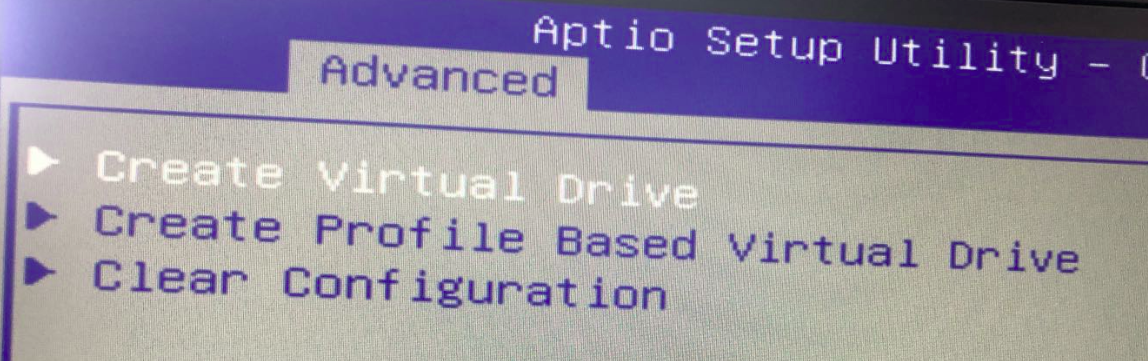lsi megaraid configuration utility 硬raid配置-CSDN博客