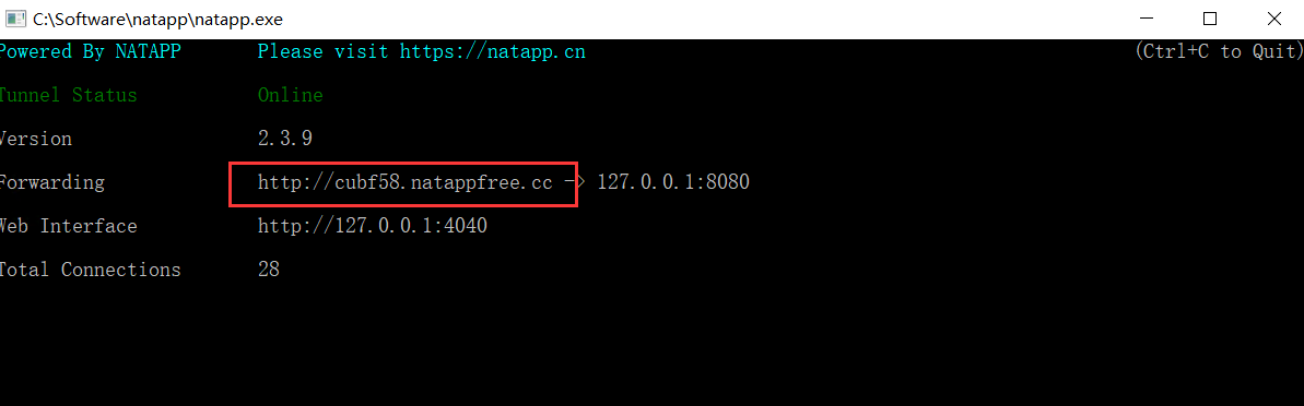 基于Windows10的IIS使用内网穿透搭建让所有人都能访问的Django网站_怎么用python创建一个所有用户都能打开的网站-CSDN博客