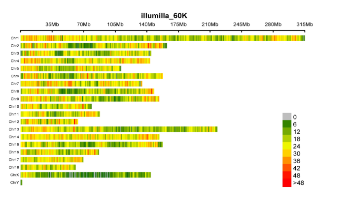 GWAS相关的曼哈顿图-SNP密度图 - 忆云竹