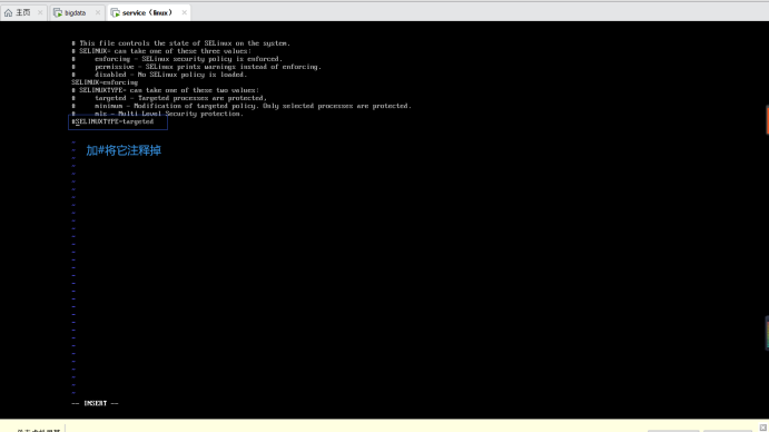 在虚拟机中配置linux(web)服务器_webserver虚拟机怎么打开-CSDN博客