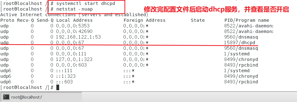 Linux网络系列--DHCP服务（DHCP自动获取IP地址详细解析、DHCP服务器安装实操）_linux的dhcpd获取ip-CSDN博客
