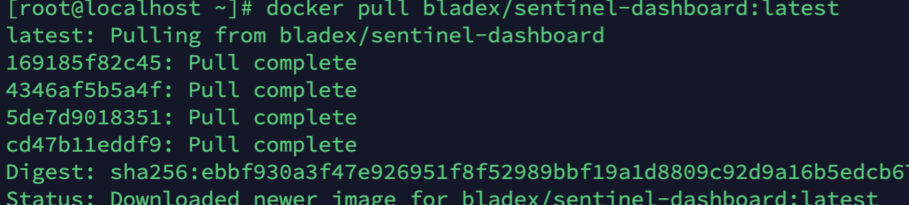 docker安装sentinel（sentinel-dashboard）_docker查看sentinel版本-CSDN博客
