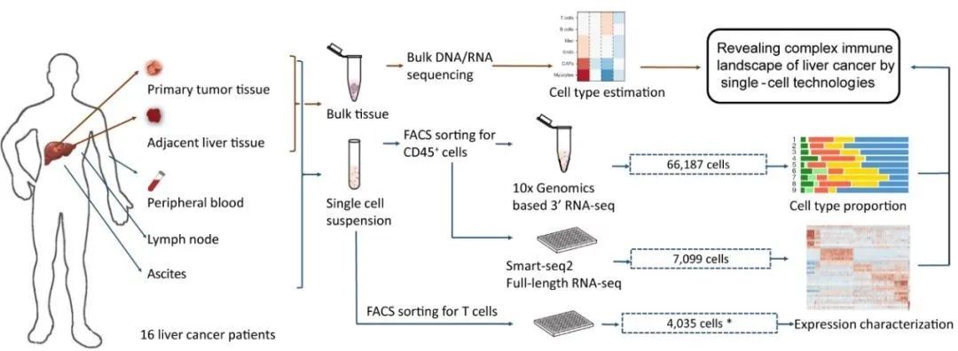 单细胞转录组：Smart-seq 2还是10X Genomics Chromium?-CSDN博客