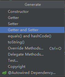 IntelliJ IDEA 布尔(Boolean)类型 Getter/Setter 模板_idea中boolean-CSDN博客