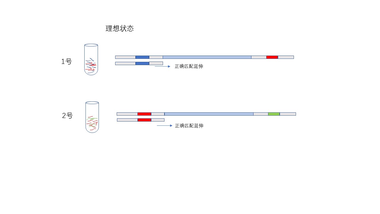 为什么要使用UDI for Illumina接头？_index hopping-CSDN博客
