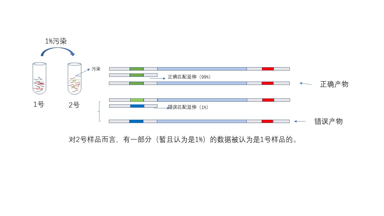 为什么要使用UDI for Illumina接头？_index hopping-CSDN博客