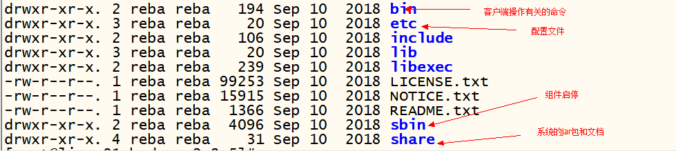 hadoop详细文档(四) hadoop之HDFS安装详解(附带详细讲解视频)-CSDN博客