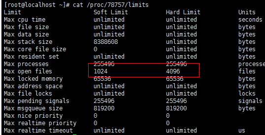 http: Accept error: accept tcp [::]:5678: accept4: too many open files； retrying in 1s_accept ...