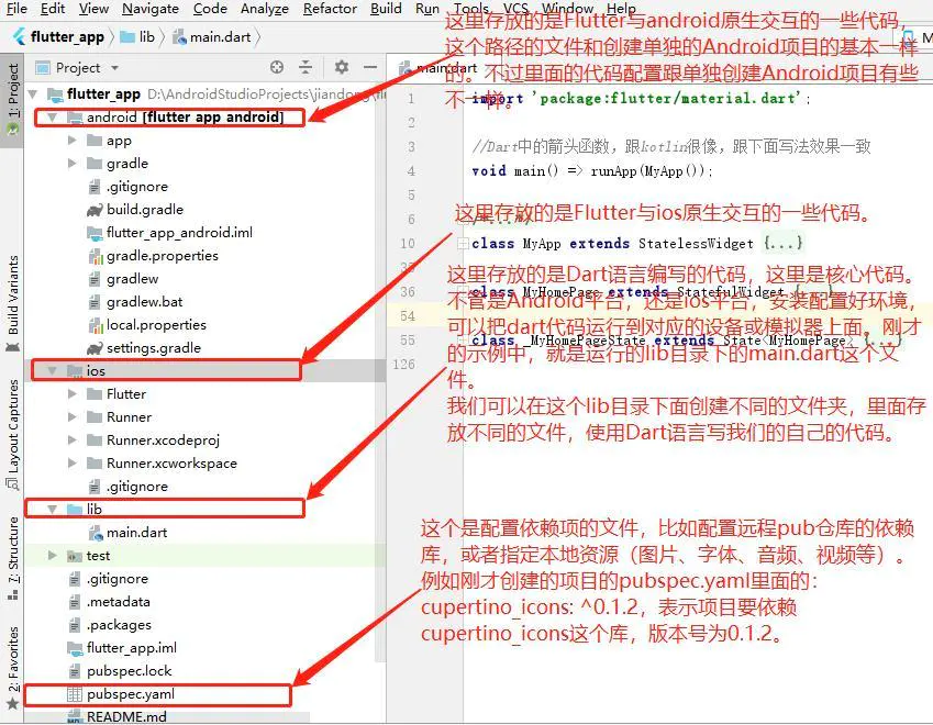 Flutter 目录结构和widget的生命周期,解读生成的maindart文件flutter Build Web 为什么 Maindartjs Csdn博客