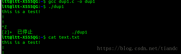 linux c——dup( )和dup2( )函数详解_dup dup2函数 csdn-CSDN博客