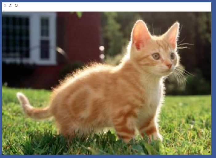 PyTorch(五)：图像增广(image augmentation)_image augmentation scale-CSDN博客