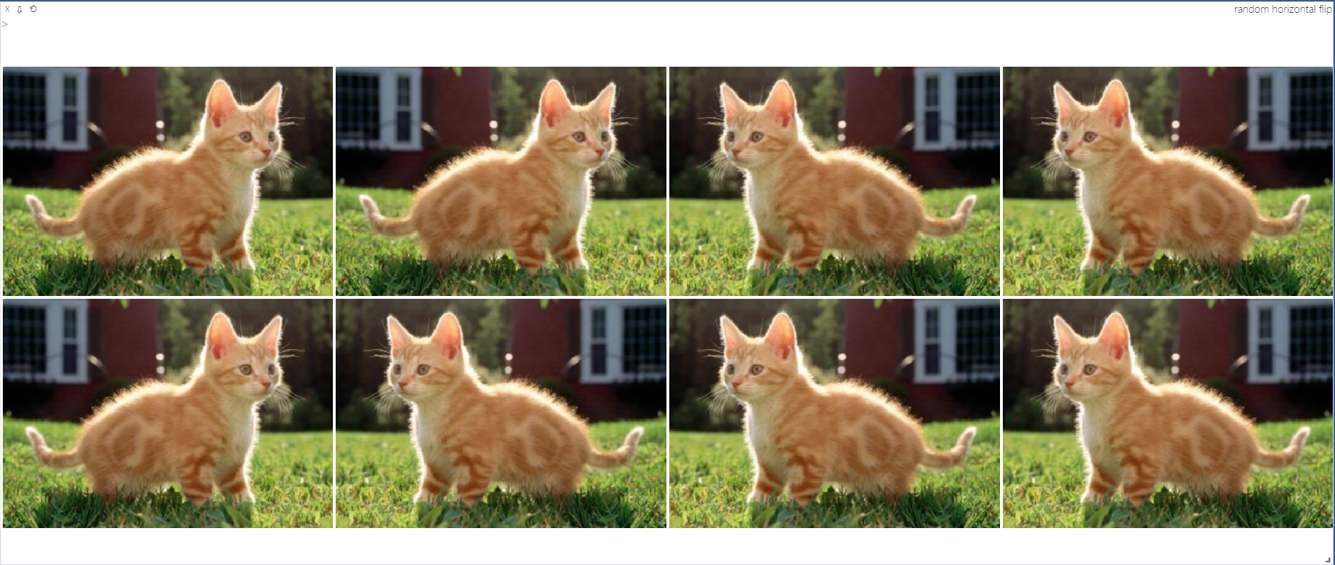PyTorch(五)：图像增广(image augmentation)_image augmentation scale-CSDN博客
