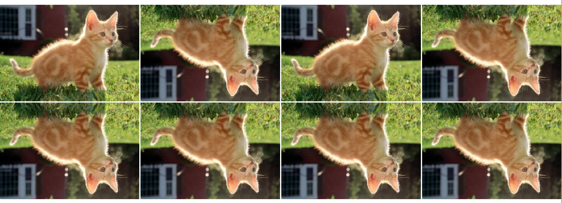 PyTorch(五)：图像增广(image augmentation)_image augmentation scale-CSDN博客