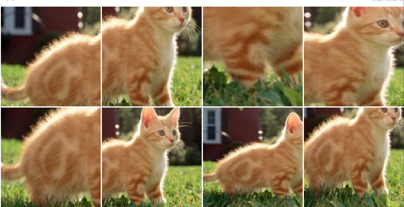 PyTorch(五)：图像增广(image augmentation)_image augmentation scale-CSDN博客