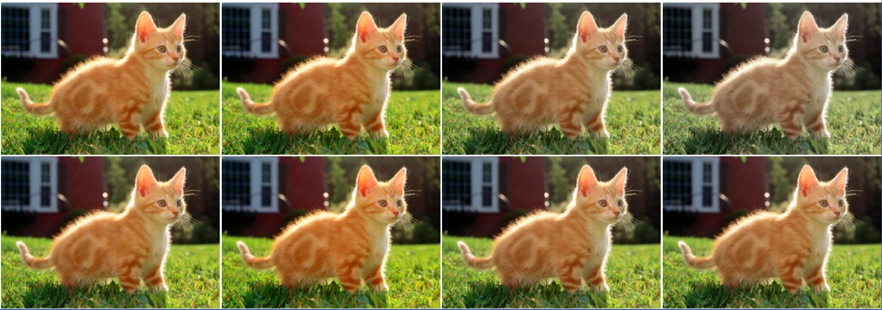 PyTorch(五)：图像增广(image augmentation)_image augmentation scale-CSDN博客