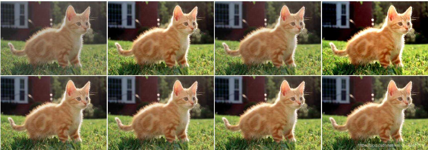 Pytorch五:图像增广image Augmentationimage Augmentation Scale Csdn博客
