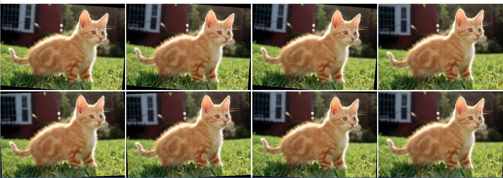 PyTorch(五)：图像增广(image augmentation)_image augmentation scale-CSDN博客