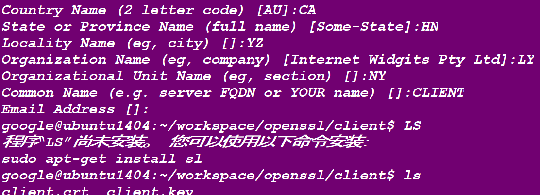 OpenSSL单向与双向认证通信_using default temp dh parameters accept-CSDN博客