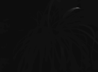 ECCV 2020 [非卷积5D] NeRF: Representing Scenes as Neural Radiance Fields for View Synthesis Github ...