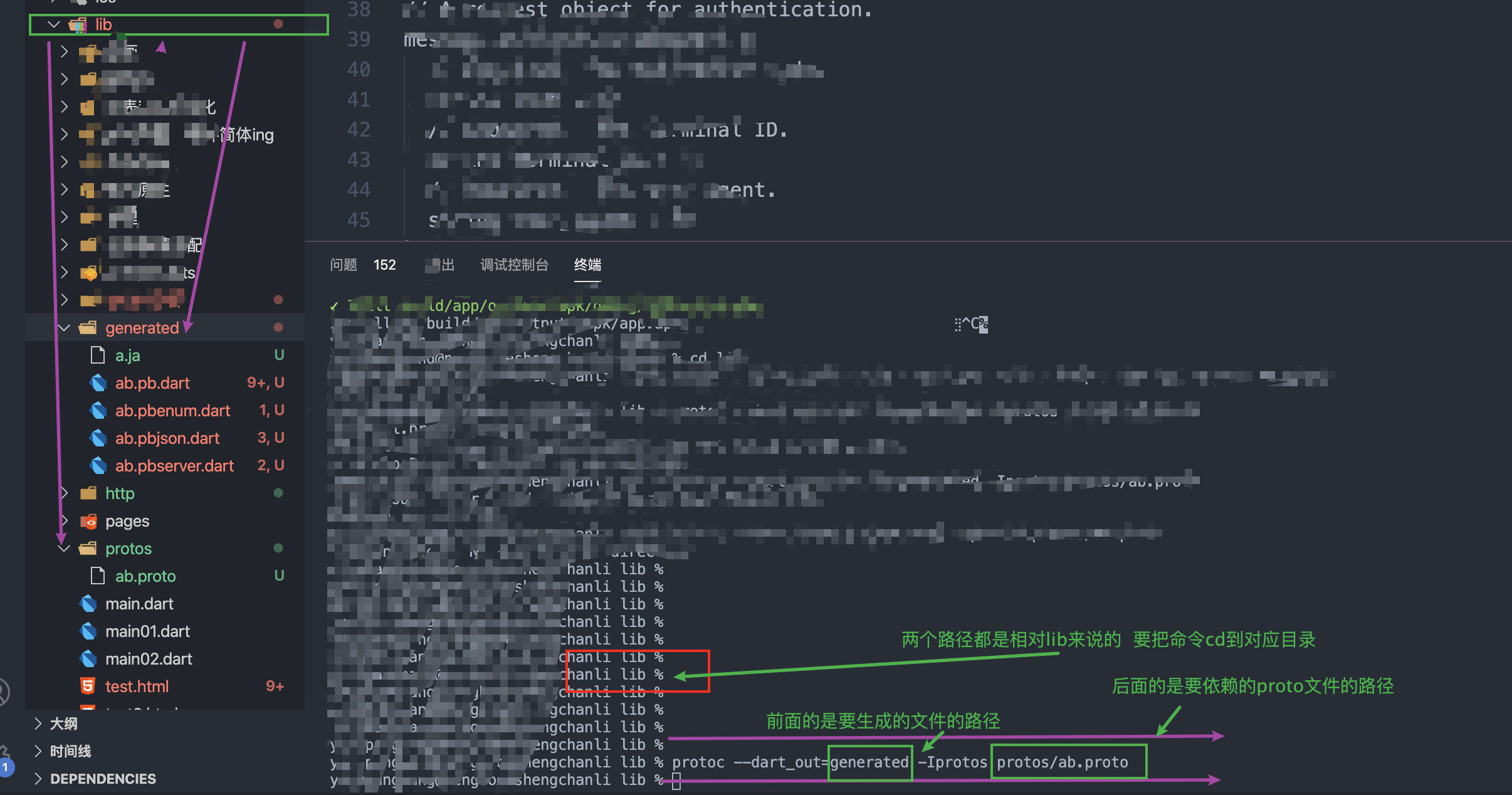 flutter编译proto文件为对应dart文件_flutter protobuf 编译成 dart-CSDN博客