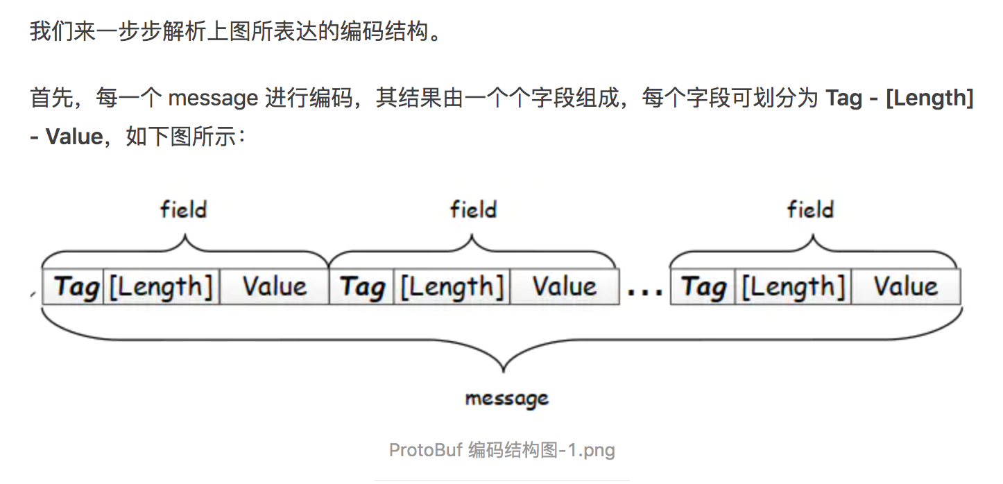 protobuf 学习01 简介 && 编解码_protocolbuf bytes-CSDN博客