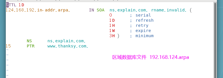 Linux基础服务 DNS主从同步(bind)_bind主从同步-CSDN博客