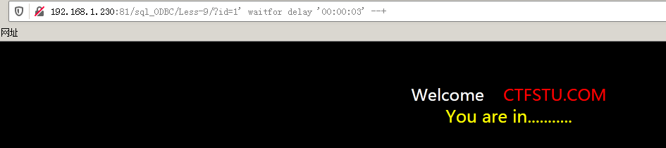 13-Web安全——基于sql server的布尔盲注，时间盲注_waitfor时间盲注-CSDN博客