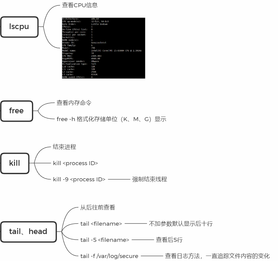 linux基础命令xmind脑图_ximnd的shell脚本-CSDN博客