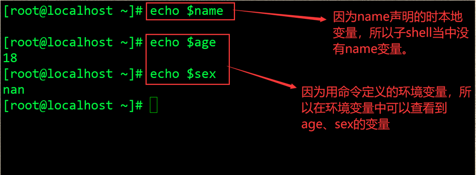 Shell基础 Bash变量 环境变量（图文详细）bash 环境变量 Csdn博客 