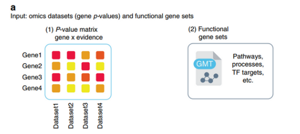 ActivePathways--整合多维组学通路分析-CSDN博客