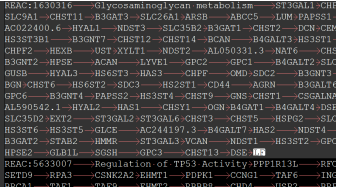 ActivePathways--整合多维组学通路分析-CSDN博客