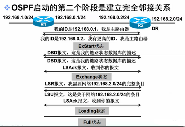 网络学习计划——【OSPF协议】_ospf是udp-CSDN博客