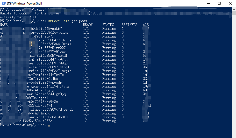 window10安装kubectl工具及配置config信息_win10 kubectl默认安装地址-CSDN博客