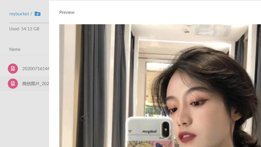netcore使用minio的PresignedPutObjectAsync方法,实现通过浏览器直接上传图片到minio服务器_c# minio newmultipartuploadasync ...