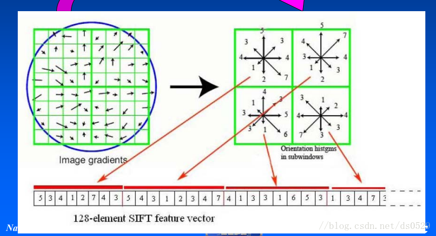 SIFT特征匹配详细讲解-CSDN博客