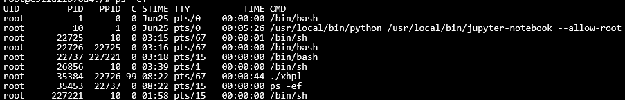 Linux下批量终止（kill）多个进程_kill -9多个进程-CSDN博客