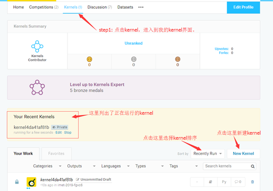 Kaggle入门-kernel的使用介绍_kaggle kernel-CSDN博客