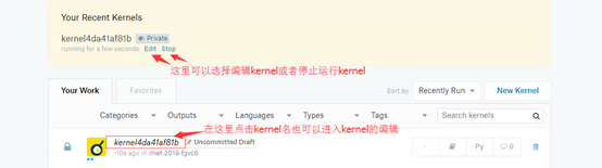 Kaggle入门-kernel的使用介绍_kaggle kernel-CSDN博客