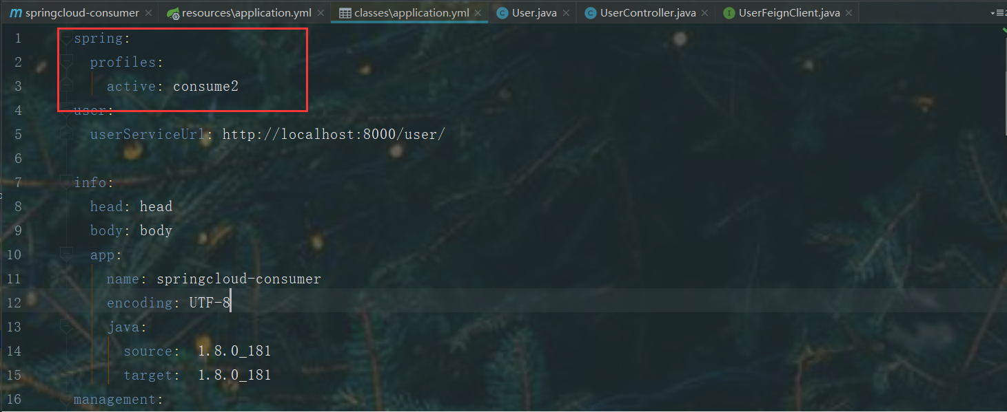 最全的解决方案：springboot在yml配置了启动端口但启动还是8080如何解决_application.yml配置的8082启动怎么是8080-CSDN博客